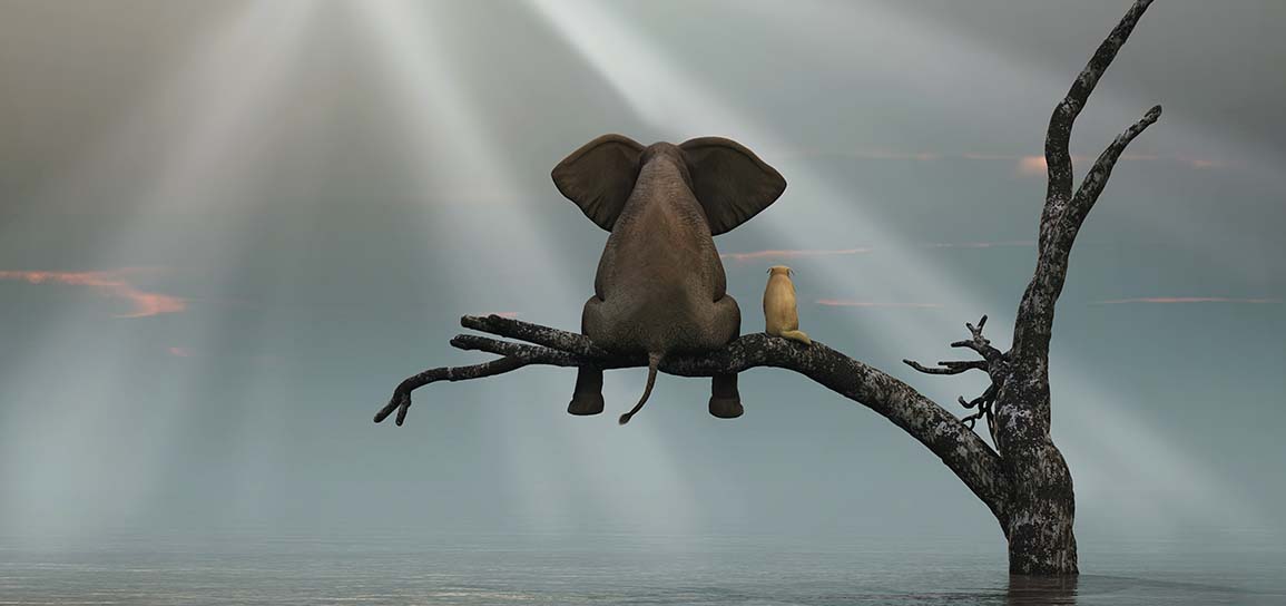 David Nock philosophy – School of Philosophy Berkshire